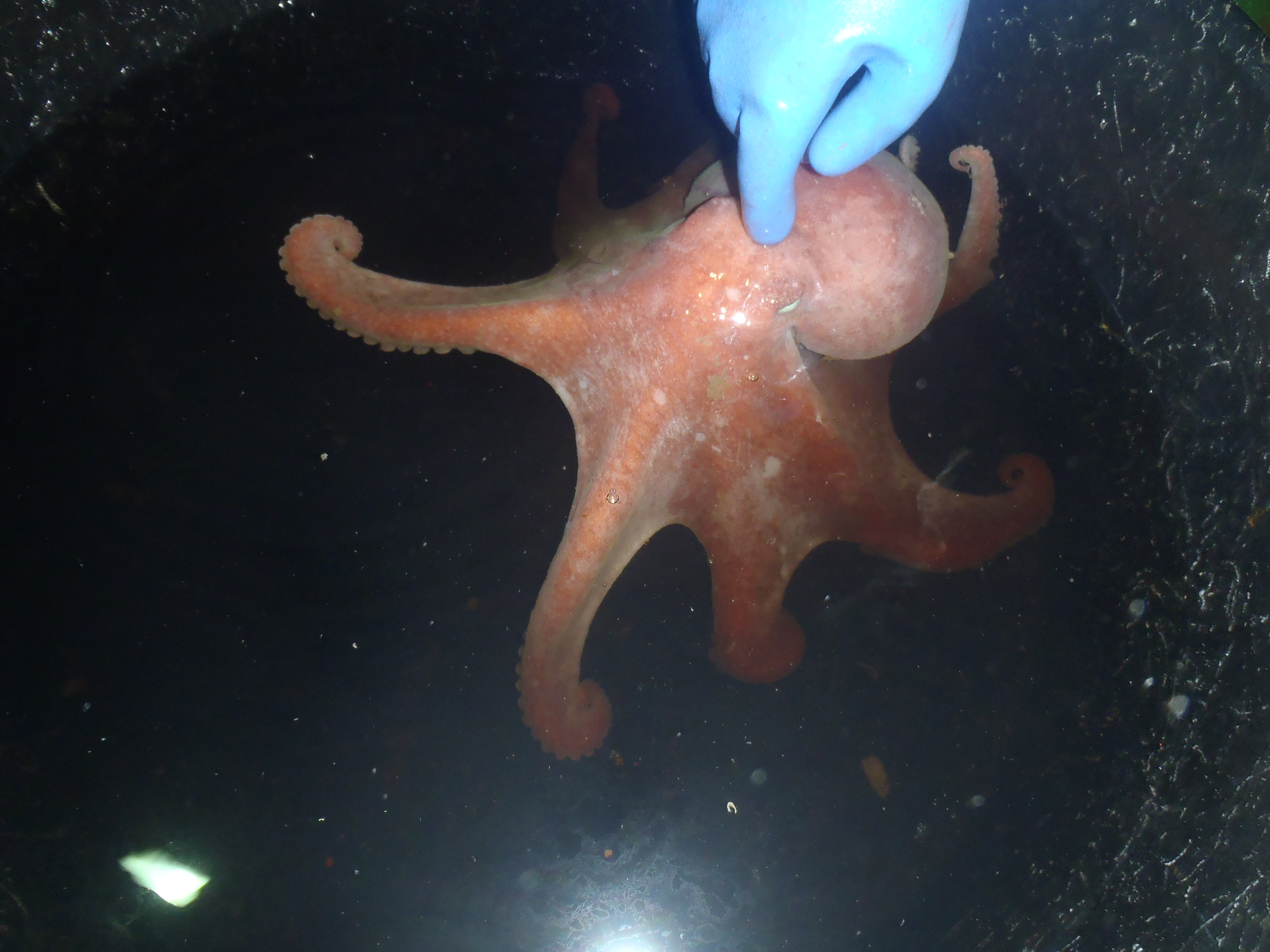 Photo Gallery – Inzane Research